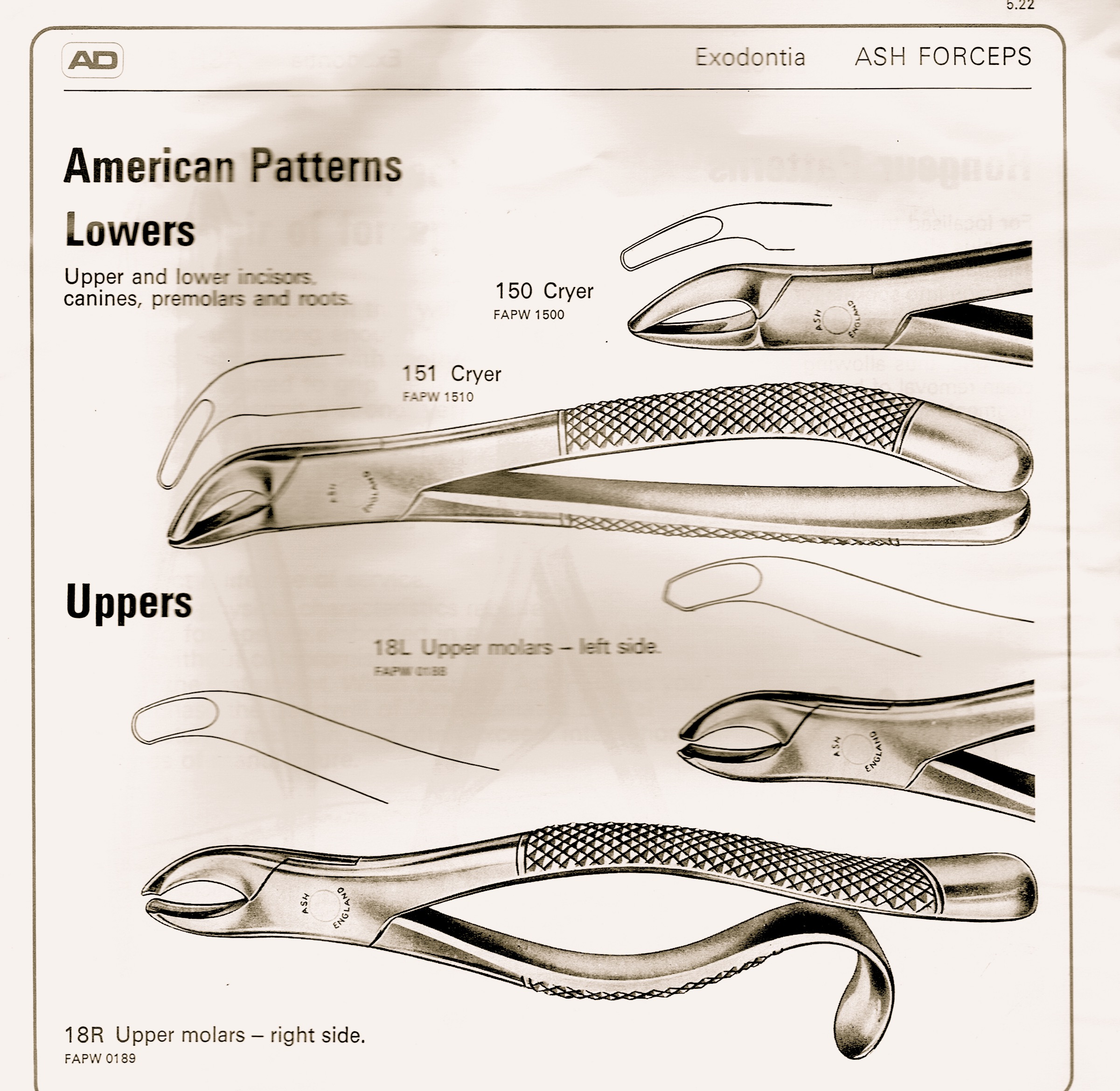 Essential Dental Surgical Instruments | Dental Clinics, Dentists ...